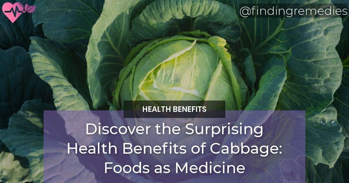 Discover the Surprising Health Benefits of Cabbage: Foods as Medicine ...