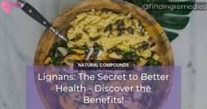Health Benefits of Lignans: The Secret to Better Health - Natural Home ...