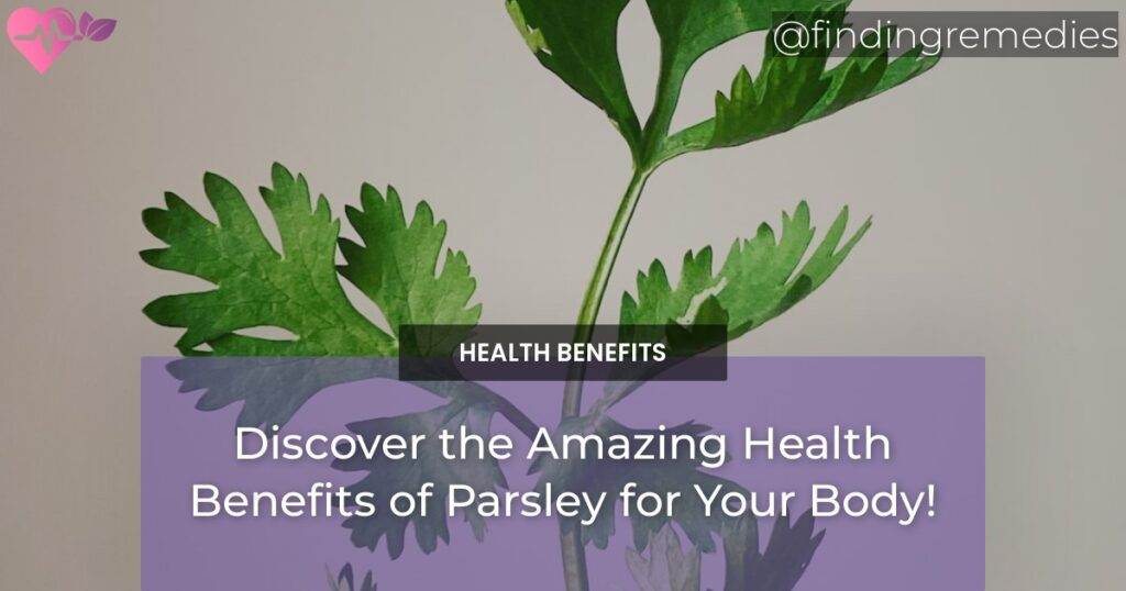 Discover the Amazing Health Benefits of Parsley for Your Body! - Finding Remedies