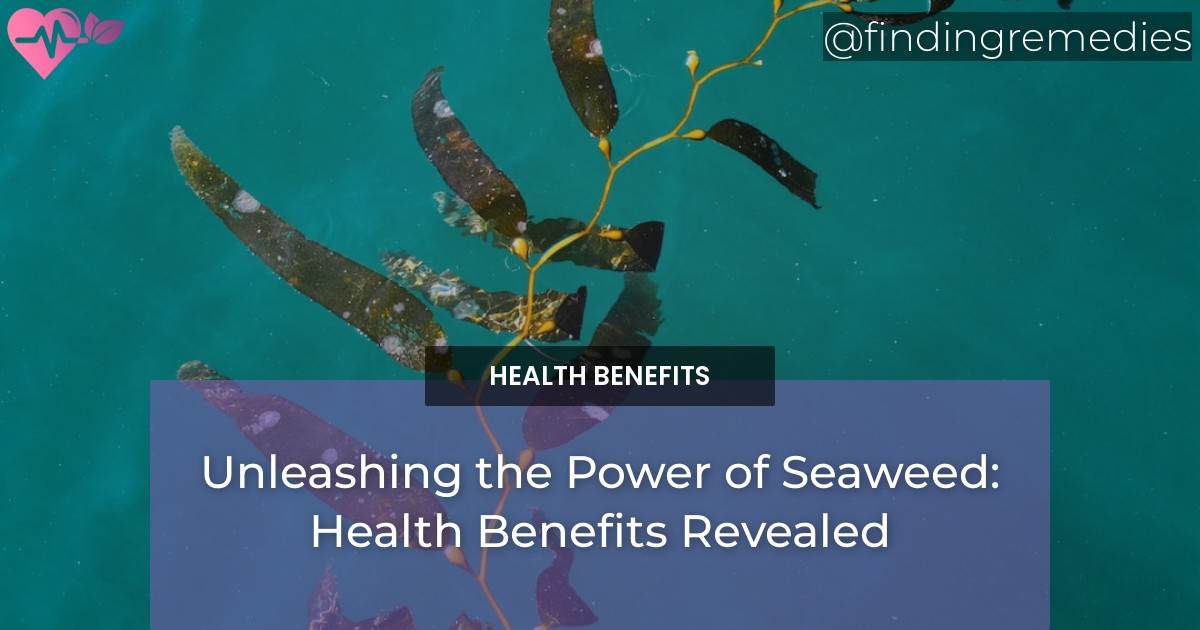 Unleashing the Power of Seaweed: Health Benefits of Seaweed Revealed ...