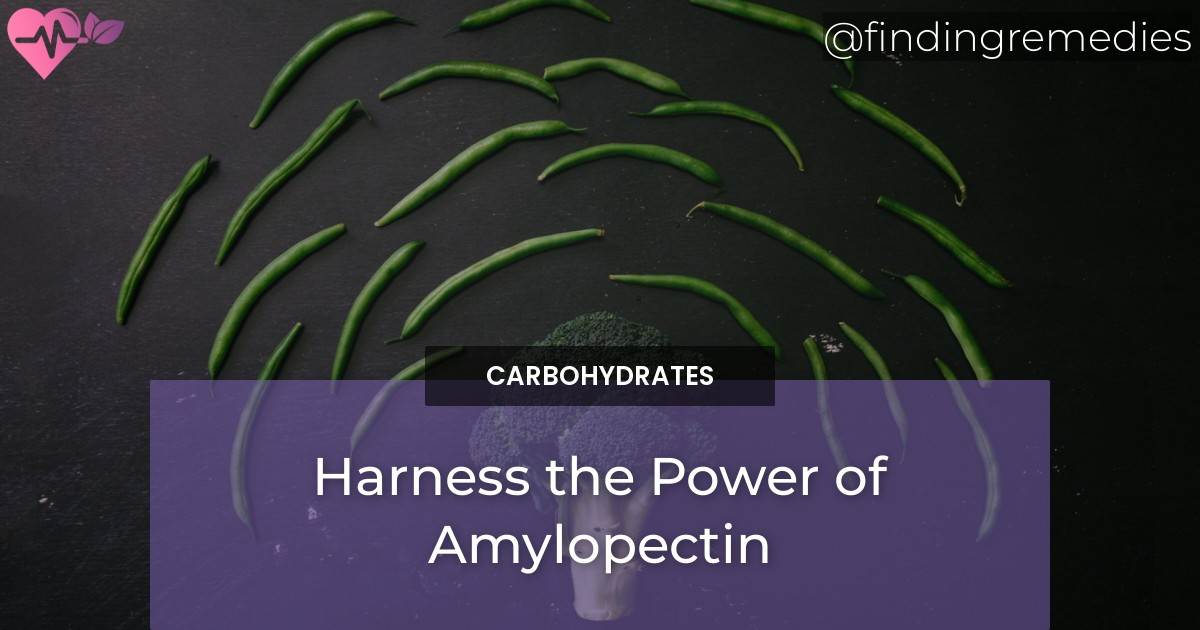 Harness the Power of Amylopectin - Finding Remedies