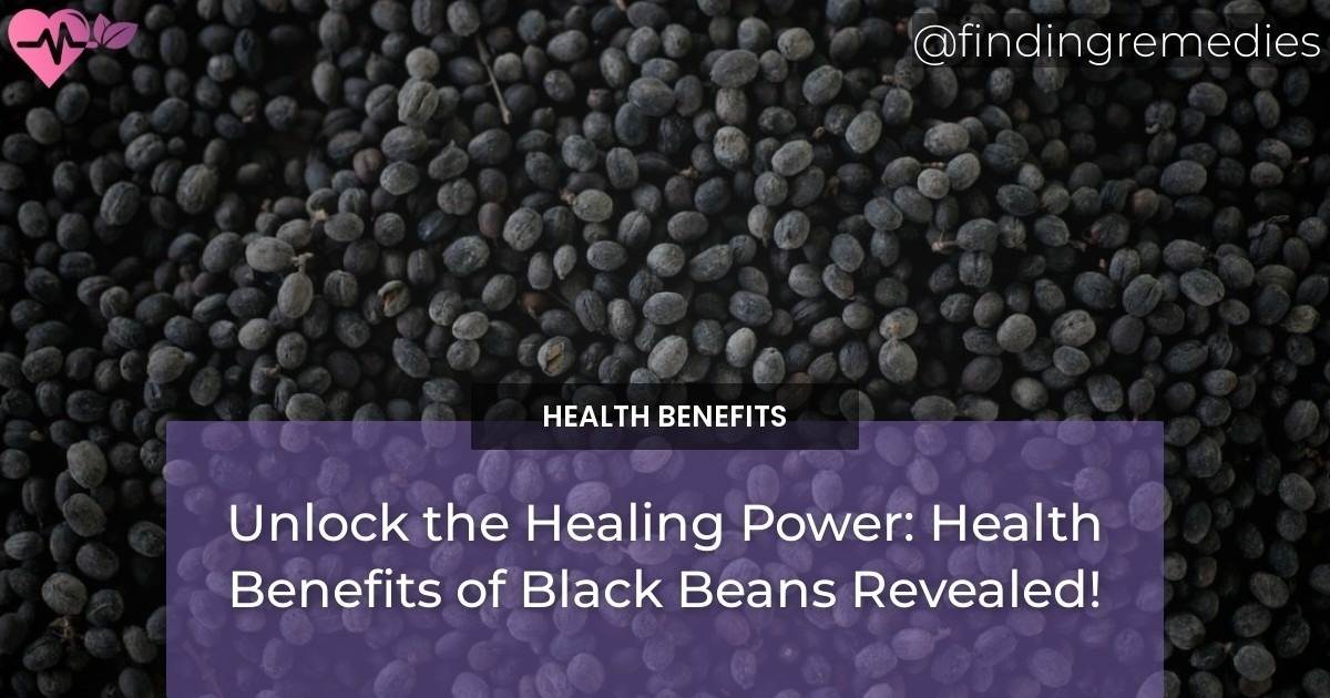 Unlock the Healing Power: Health Benefits of Black Beans Revealed ...