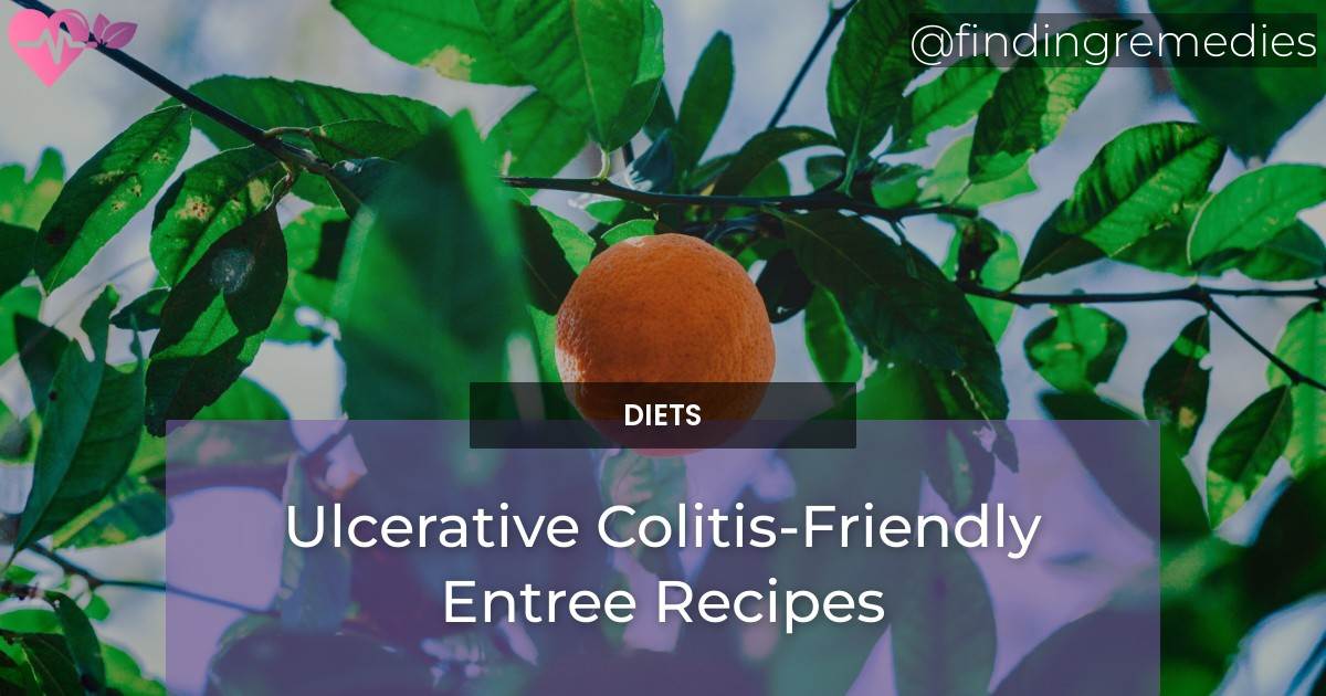 Ulcerative Colitis-Friendly Entree Recipes - Finding Remedies