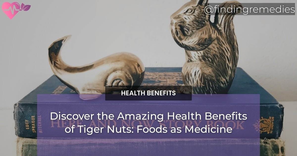 Discover the Amazing Health Benefits of Tiger Nuts: Foods as Medicine ...