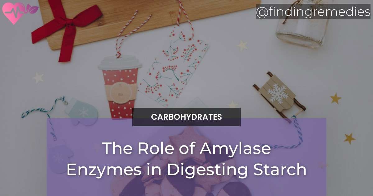 Improve Your Starch Digestion with Amylase Supplements - Finding Remedies
