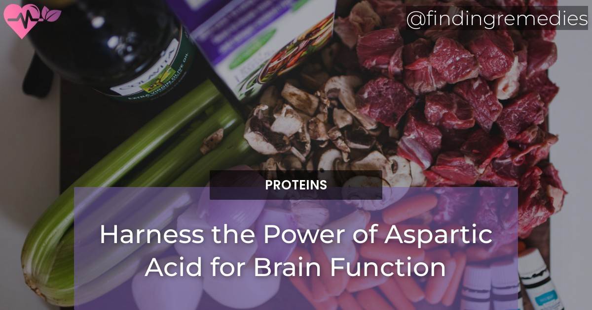 Harness the Power of Aspartic Acid for Brain Function - Finding Remedies