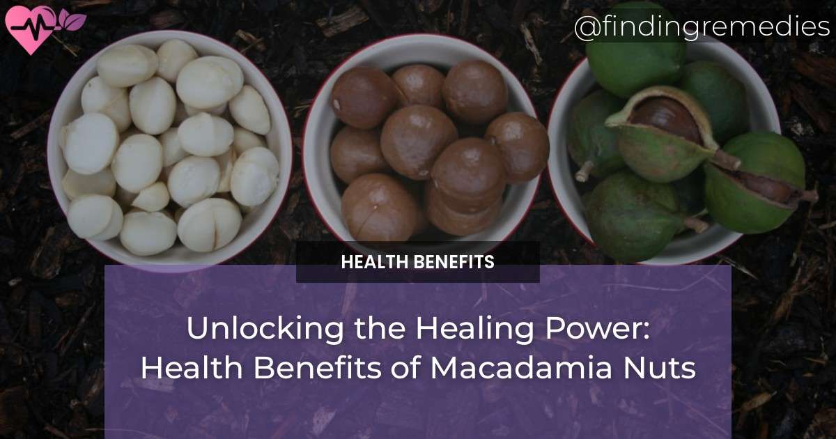 Unlocking the Healing Power: Health Benefits of Macadamia Nuts ...